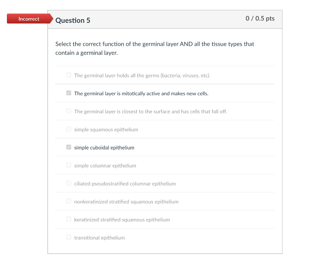 Solved Partial Question 2 0.25 / 0.5 pts Select the correct | Chegg.com