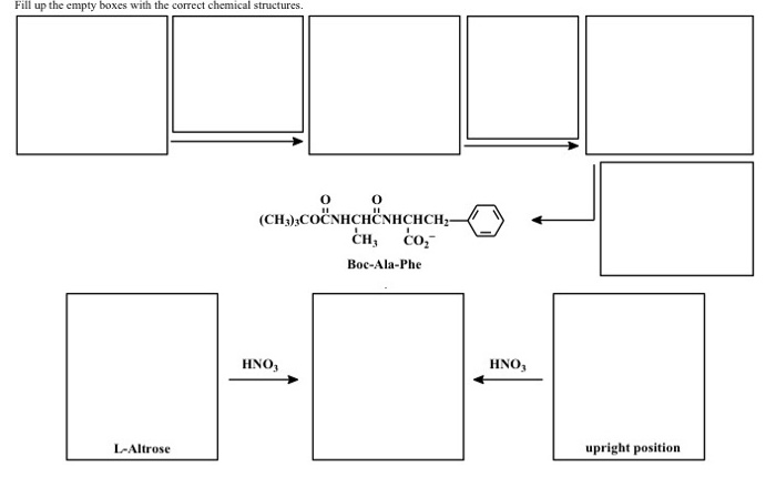 Solved Fill up empty boxes with correct chemical structures | Chegg.com
