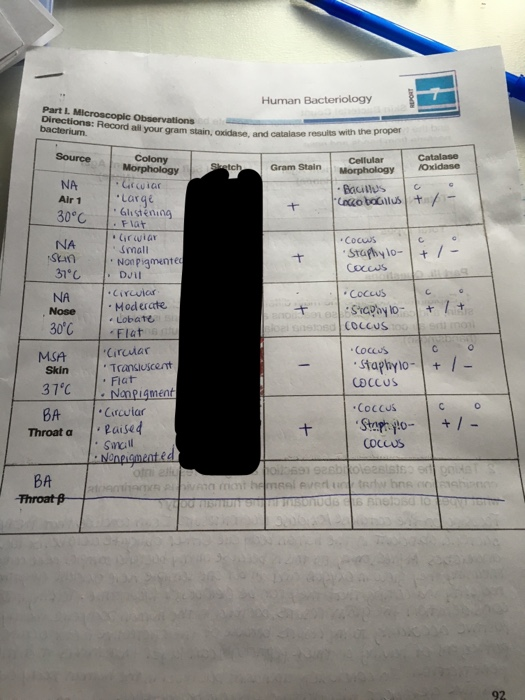 Solved - Using the results from Part ll skin bacterial | Chegg.com