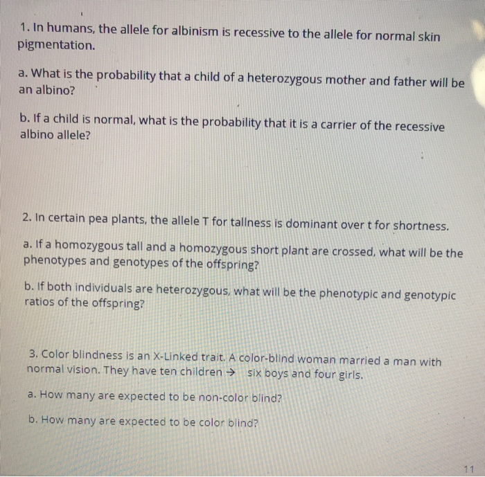 Solved 1. In humans, the allele for albinism is recessive to | Chegg.com