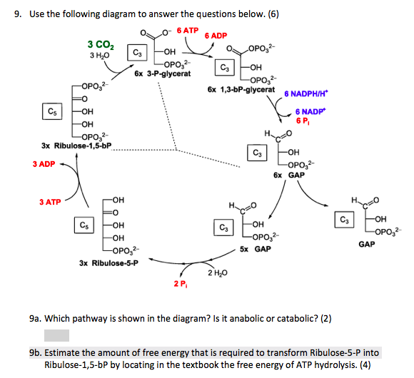 Solved 9. Use the following diagram to answer the questions | Chegg.com