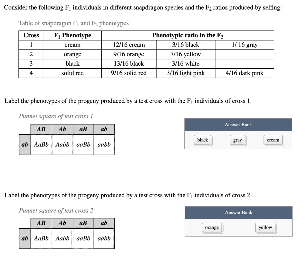 Solved Consider the following Fı individuals in different | Chegg.com