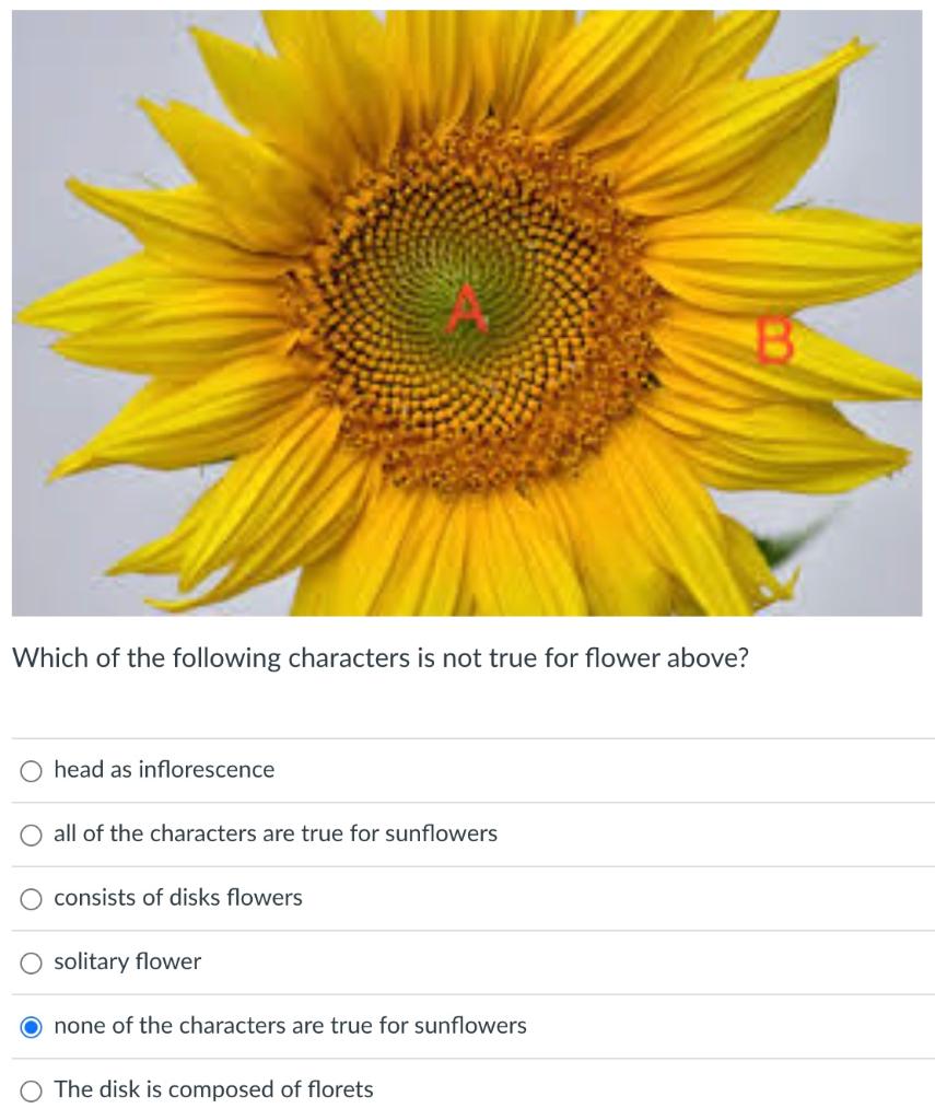 Solved Which of the following characters is not true for | Chegg.com