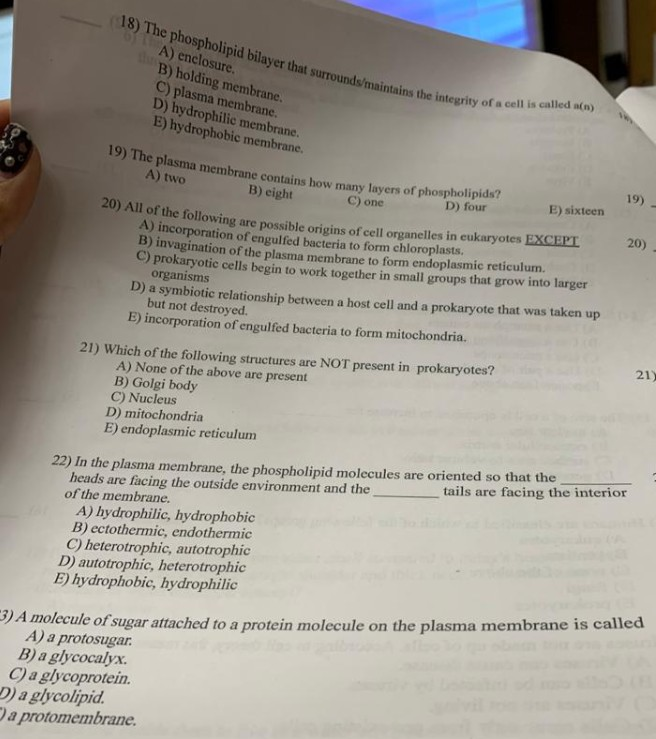 Solved 18) The phospholipid bilayer that surrounds/maintains | Chegg.com