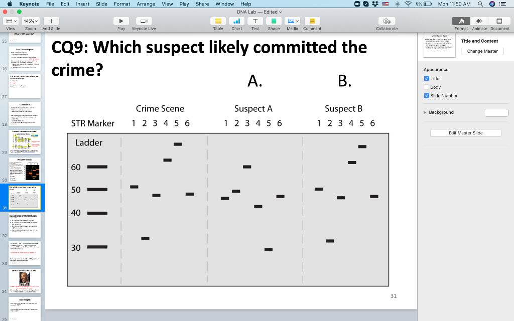 Solved Keynote File Edit Insert Slide Format Arrange View | Chegg.com