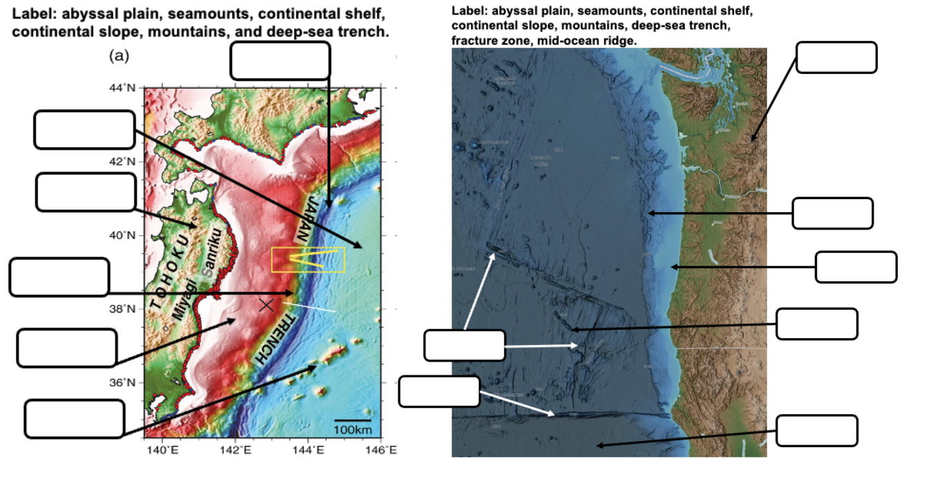 Solved Label: abyssal plain, seamounts, continental | Chegg.com