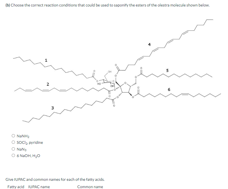 Solved (b) ﻿Choose the correct reaction conditions that | Chegg.com