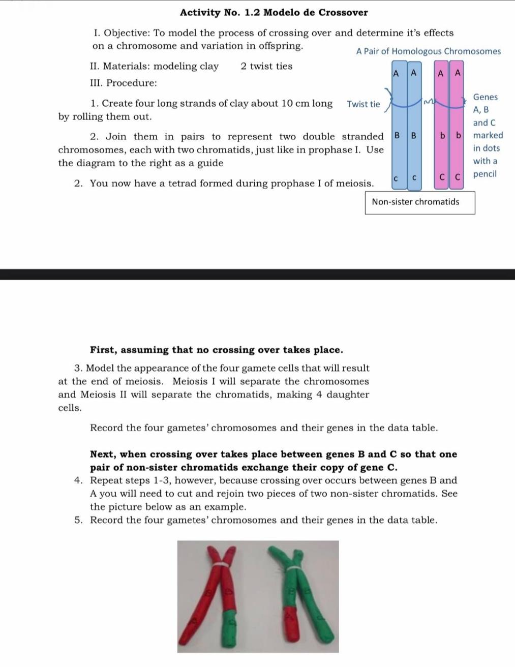 Solved Activity No. 1.2 Modelo de Crossover I. Objective: To | Chegg.com