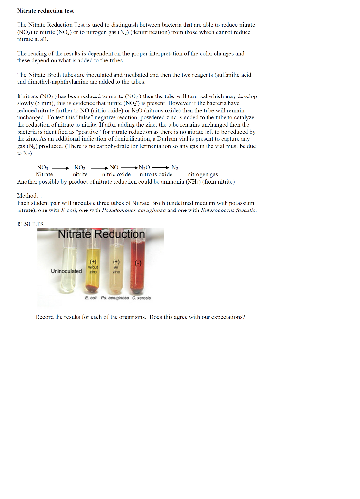 Solved Nitrate reduction test The Nitrate Reduction Test is | Chegg.com