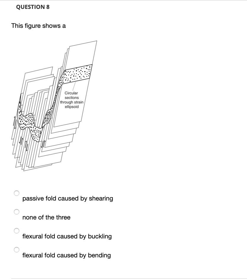 Solved QUESTION 7 Based on the vergence of this asymmetric | Chegg.com