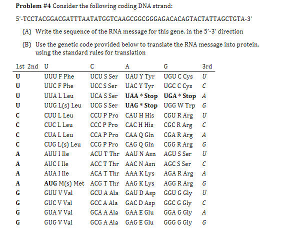 Solved Problem \#4 Consider the following coding DNA strand: | Chegg.com