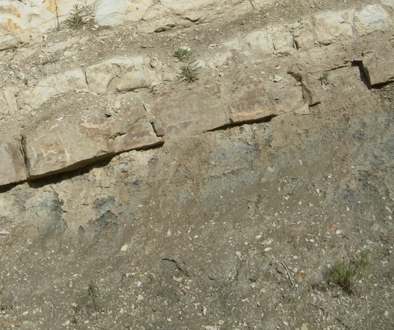 Solved You observe an outcrop where there is a mudstone at | Chegg.com
