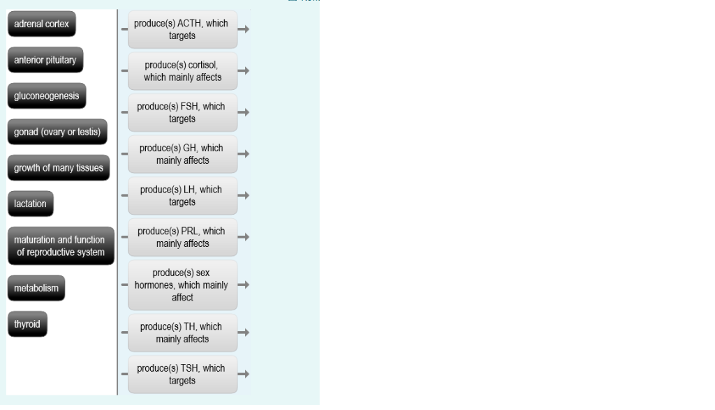 Solved Using no more than 11 propositions, create a Concept | Chegg.com