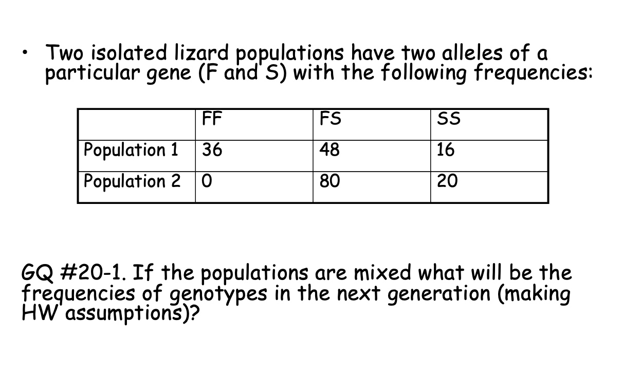 Two isolated lizard populations have two alleles of a | Chegg.com