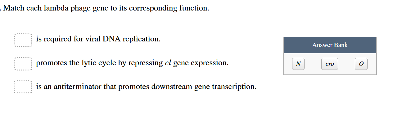 Solved Match Each Lambda Phage Gene To Its Corresponding 4823