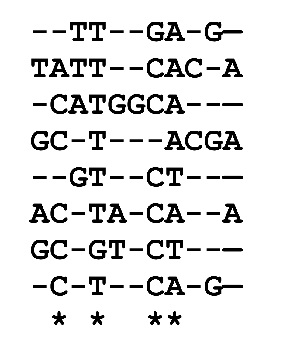 Construct A Profile Hidden Markov Model Phmm For 