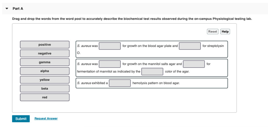 Solved Drag and drop the words from the word pool to | Chegg.com