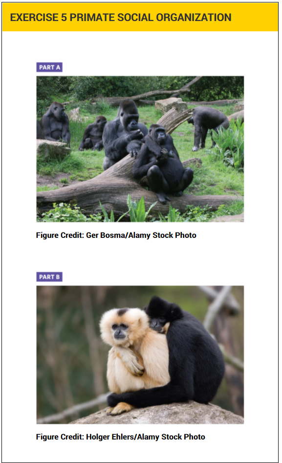 PART A Examine the primate group depicted in the | Chegg.com