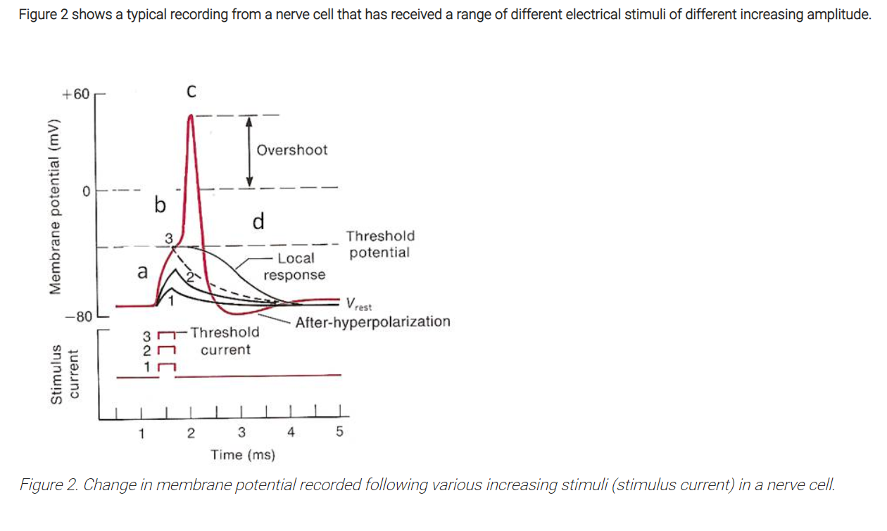 Solved Fill in the blanks- 1. The local response is | Chegg.com