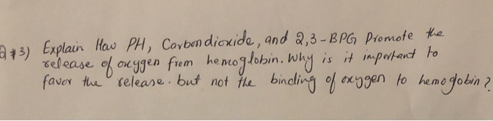 Solved 3) Explan ,Cayben dioxide, and 2,3-BP entog.bbin. Wh | Chegg.com