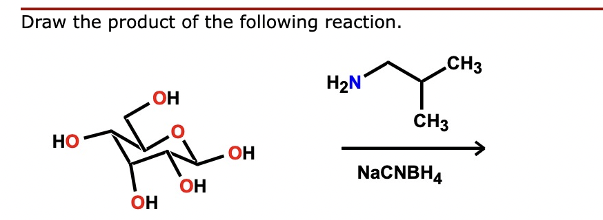 Solved Draw the product of the following reaction. CH3 H2N | Chegg.com
