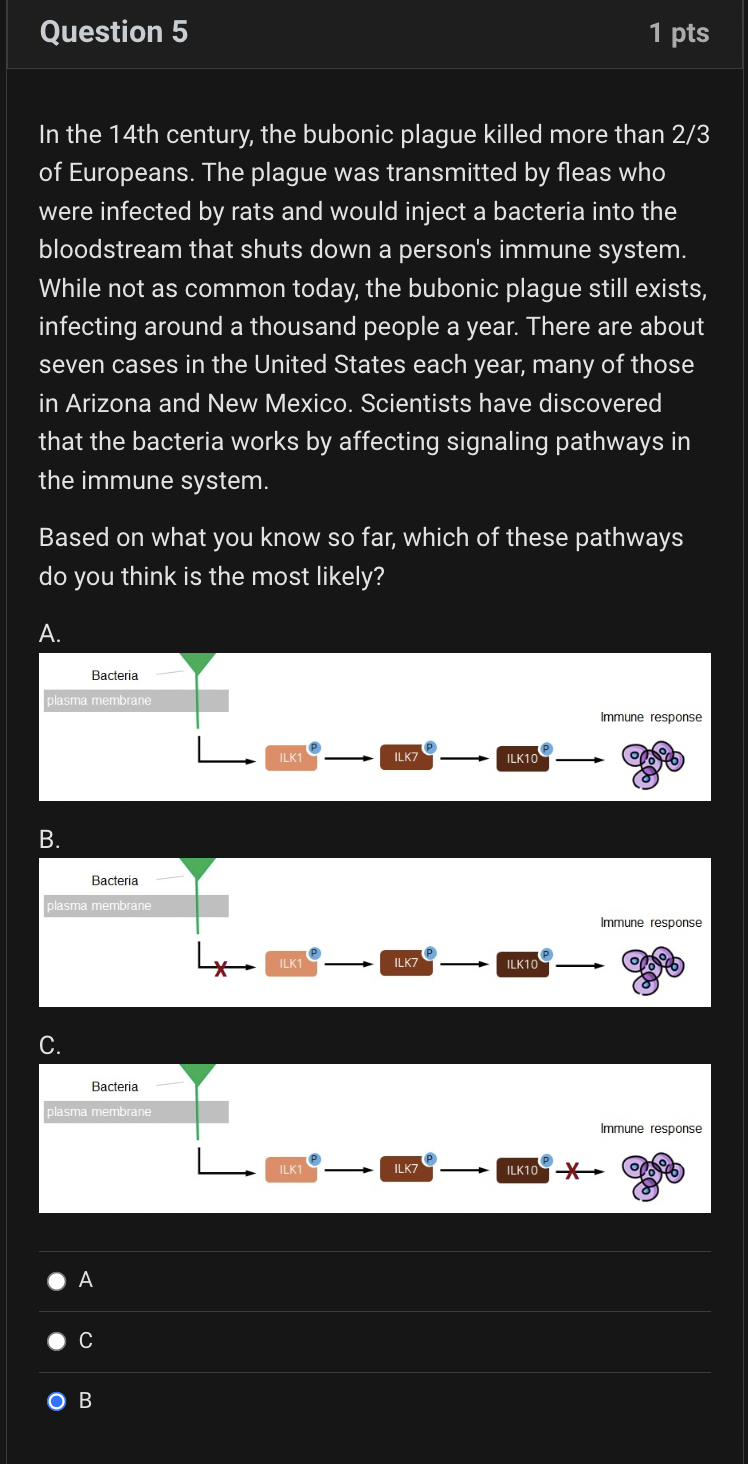 Solved In the 14th century, the bubonic plague killed more | Chegg.com