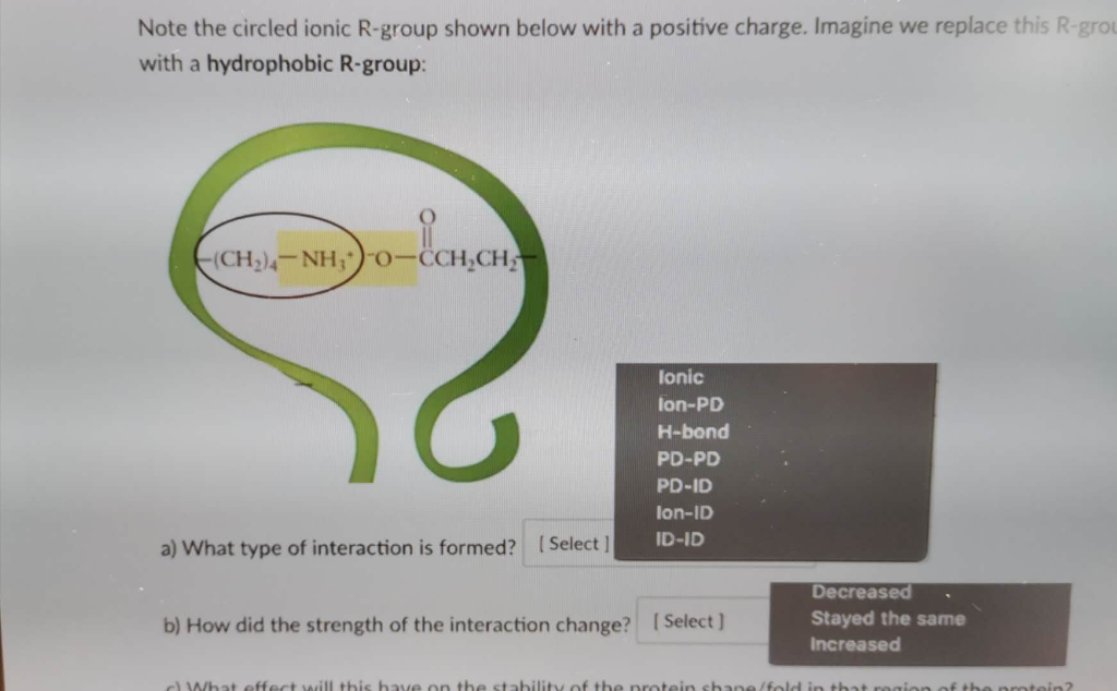 Note the circled ionic R-group shown below with a | Chegg.com