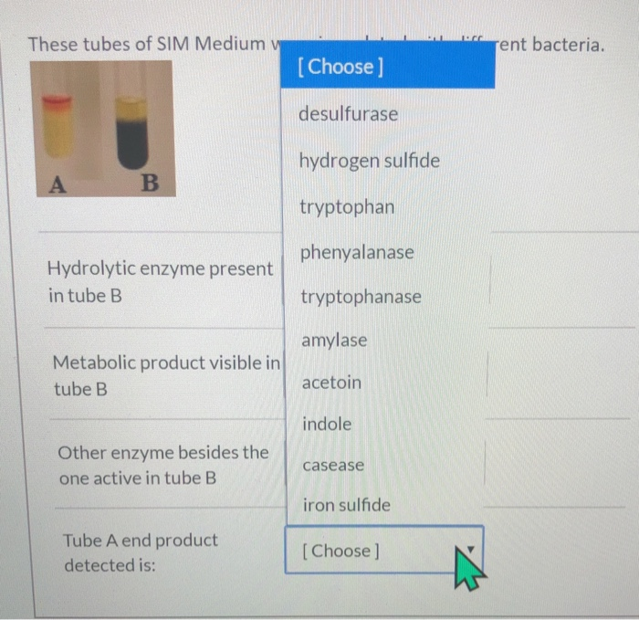 Solved the tubes of SIM medium were inoculated with | Chegg.com