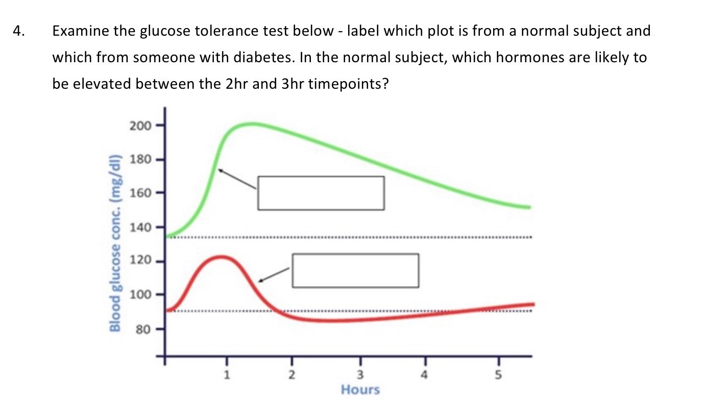 Solved 4. Examine the glucose tolerance test below - label | Chegg.com