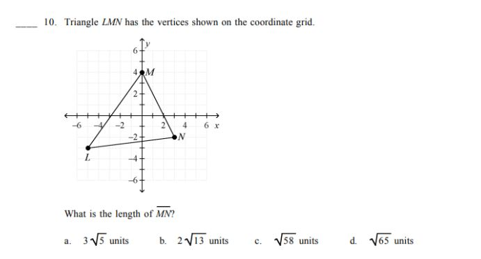 Solved 10. Triangle LMN has the vertices shown on the | Chegg.com