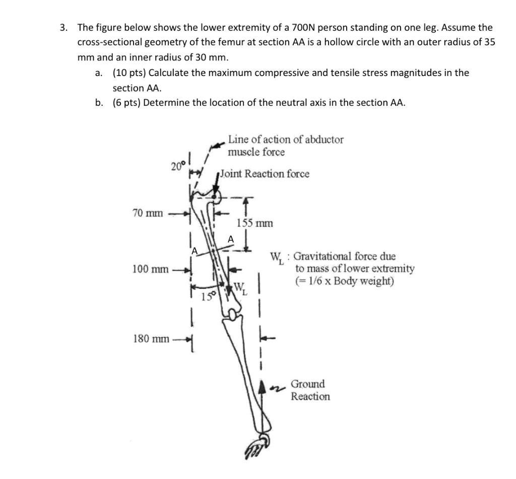 3. The figure below shows the lower extremity of a | Chegg.com