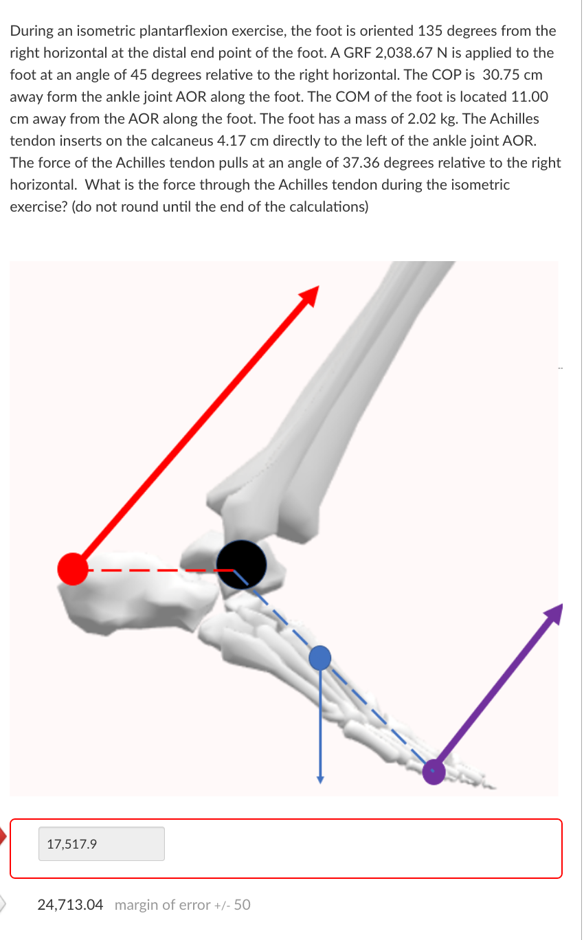 Solved During an isometric plantarflexion exercise, the foot | Chegg.com