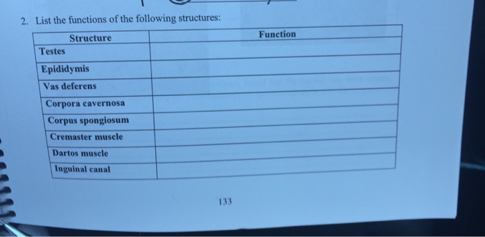Solved List the functions of the following structures: | Chegg.com