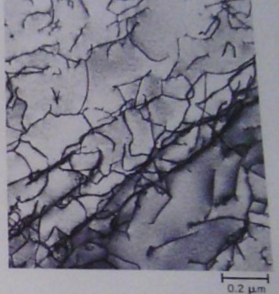 Solved The microscopy image (SEM) shows a line defect in | Chegg.com