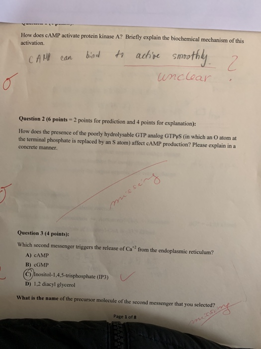 Solved How does cAMP activate protein kinase A? Briefly | Chegg.com