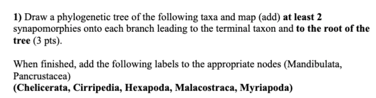 Solved 1) Draw a phylogenetic tree of the following taxa and | Chegg.com