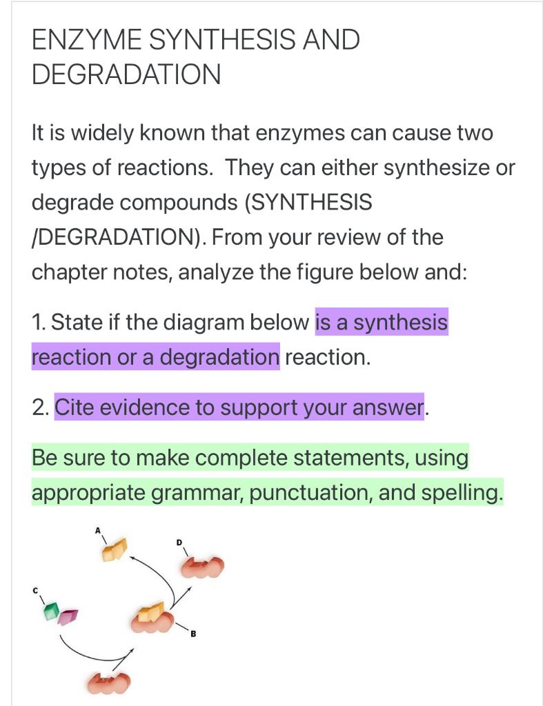 Solved ENZYME SYNTHESIS AND DEGRADATION It is widely known | Chegg.com