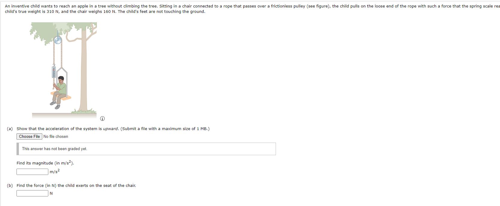 child's true weight is 310 N, and the chair weighs | Chegg.com