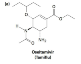 Solved (a) NH2 Oseltamivir (Tamiflu) | Chegg.com