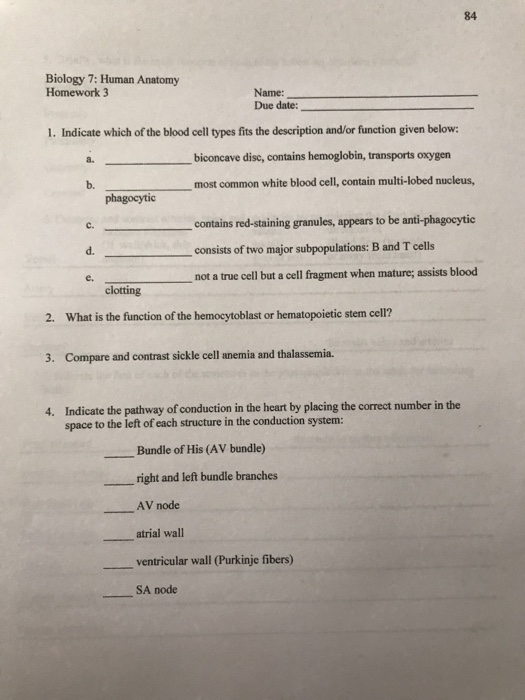 Solved Biology 7: Human Anatomy Homework 3 Name: Due date: | Chegg.com