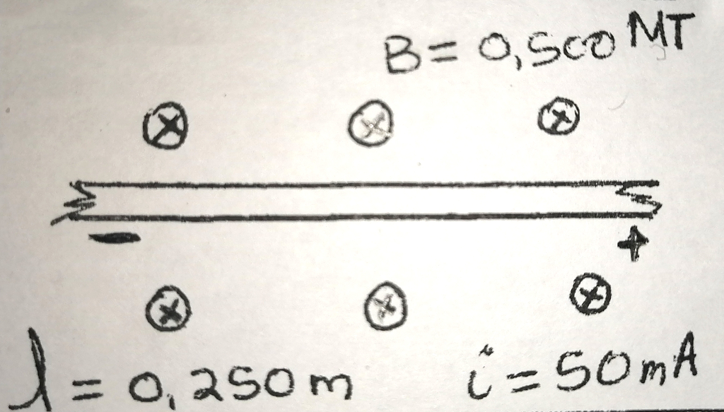 Solved Calculate the magnetic force on the rectilinear | Chegg.com
