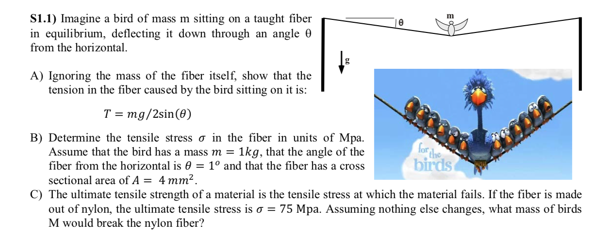 Solved Imagine a bird of mass m sitting on a taught fiber | Chegg.com