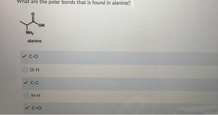 Solved What are the polar bonds that is found in alanine? | Chegg.com