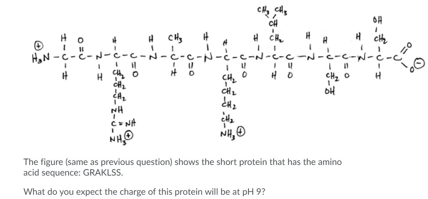 Solved 04 1 но H chh H 1 11 1 - - - - - ل - Σ - HN - - - H | Chegg.com