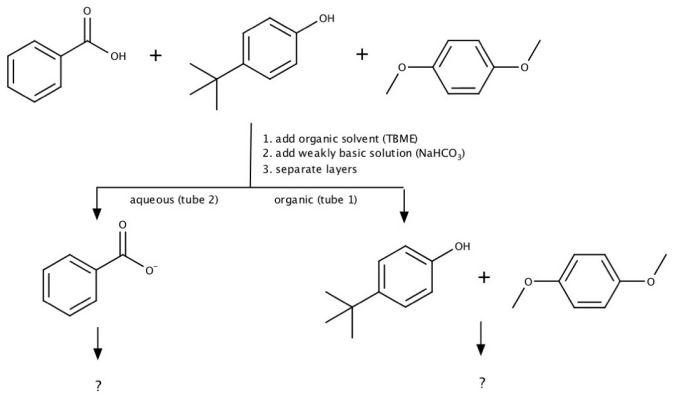 Solved OH WL. OH + + 1. add organic solvent (TBME) 2. add | Chegg.com