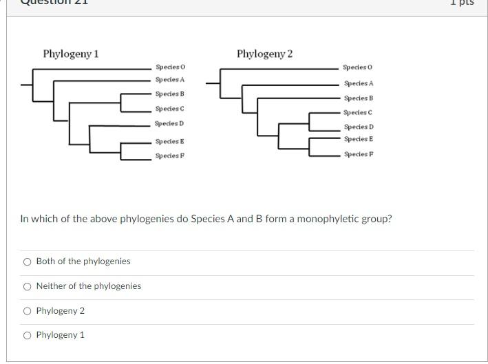 Solved In which of the above phylogenies do Species A and B | Chegg.com