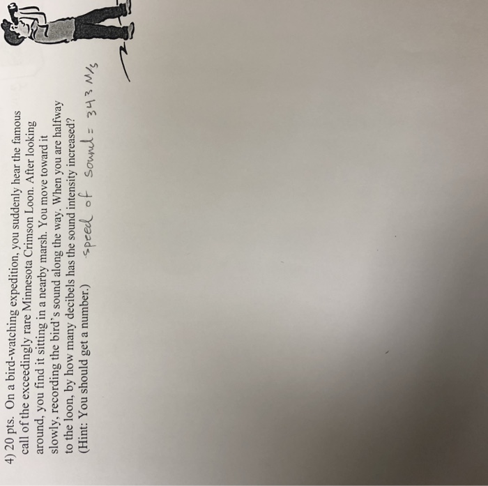 Solved 4) 20 pts. On a bird-watching expedition, you | Chegg.com