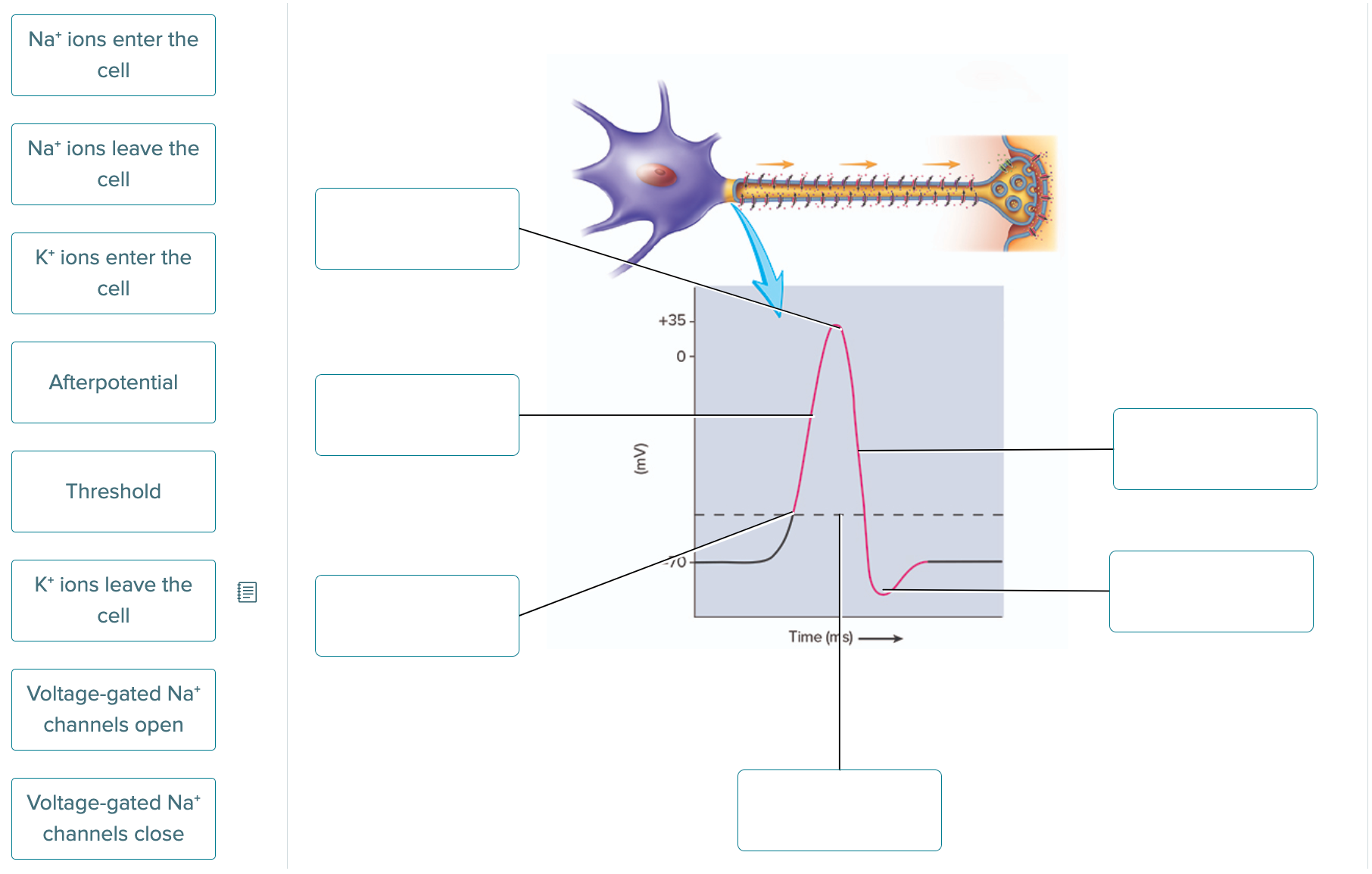 Solved label, please | Chegg.com