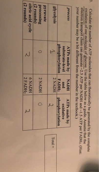 Solved Calculate the number of ATP molecules that can | Chegg.com