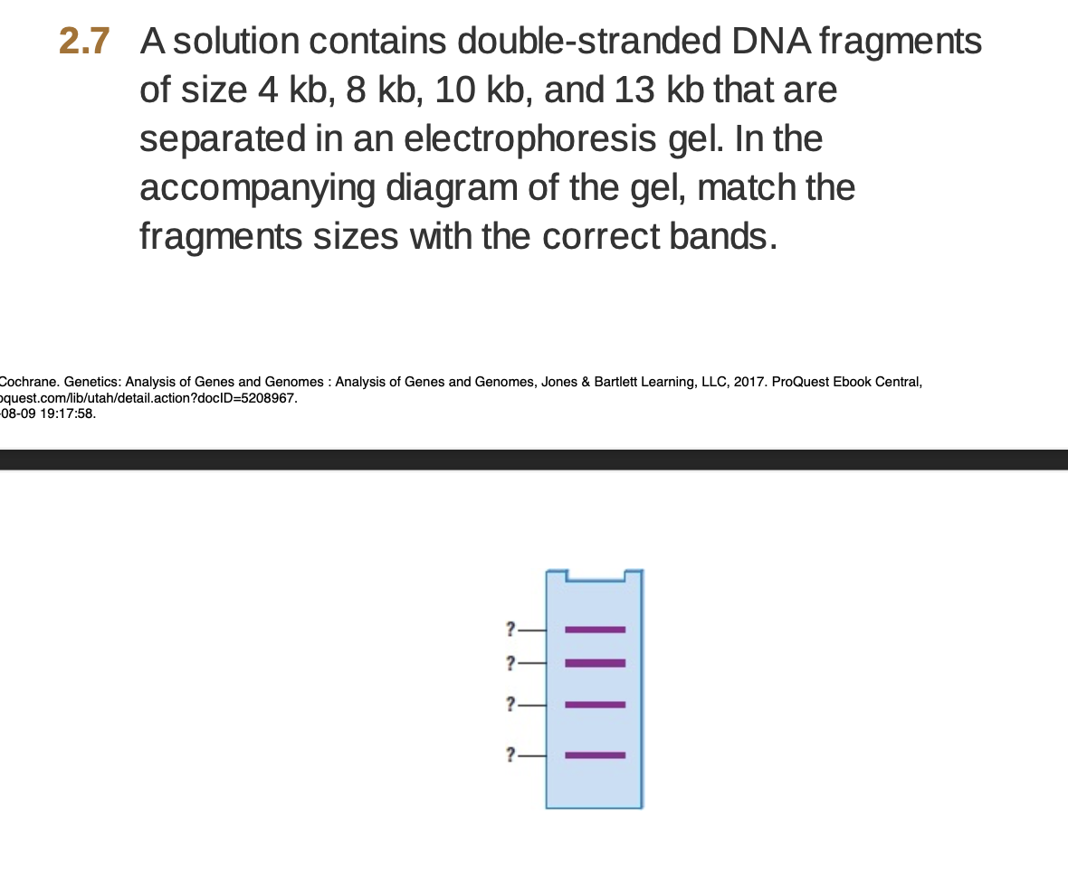 Solved 2.7 A solution contains double-stranded DNA fragments | Chegg.com